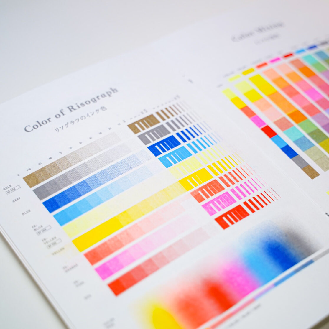 Riso | Albatro Design