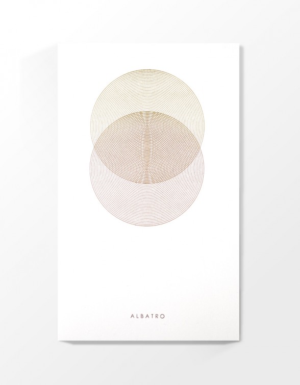 Portfolio | Albatro Design